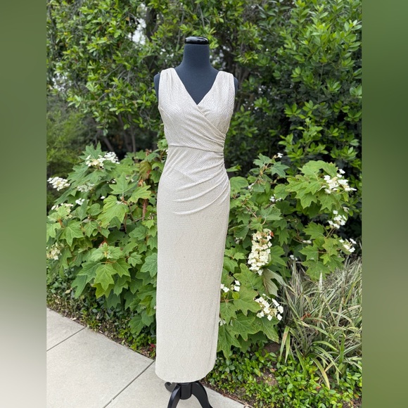 Betsy & Adam | Dresses | Betsy Adam Sleeveless Column Gown Size 2p ...
